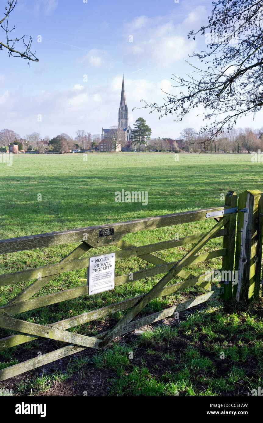Harnham Water Meadows with Salisbury Cathedral in the background Stock ...