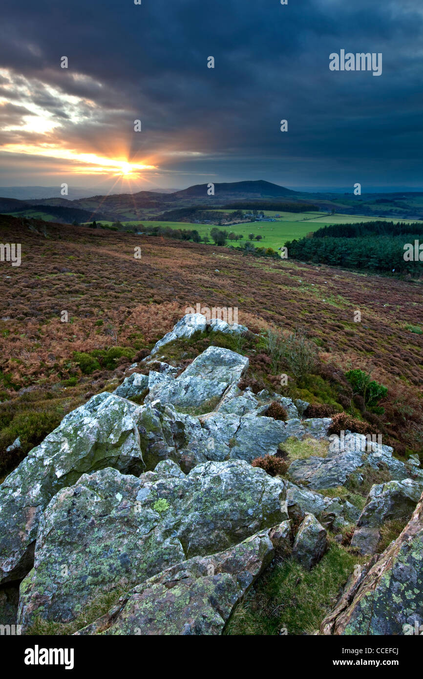 Sunset over Nipperstone rocks looking towards Cordon Hill, Stiperstone ...