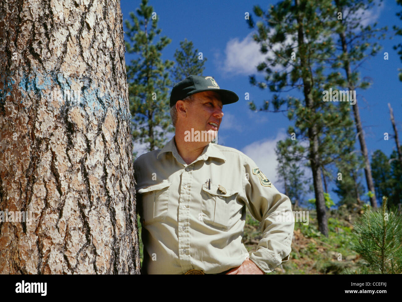 United States Forest Service Ranger, SD Stock Photo - Alamy