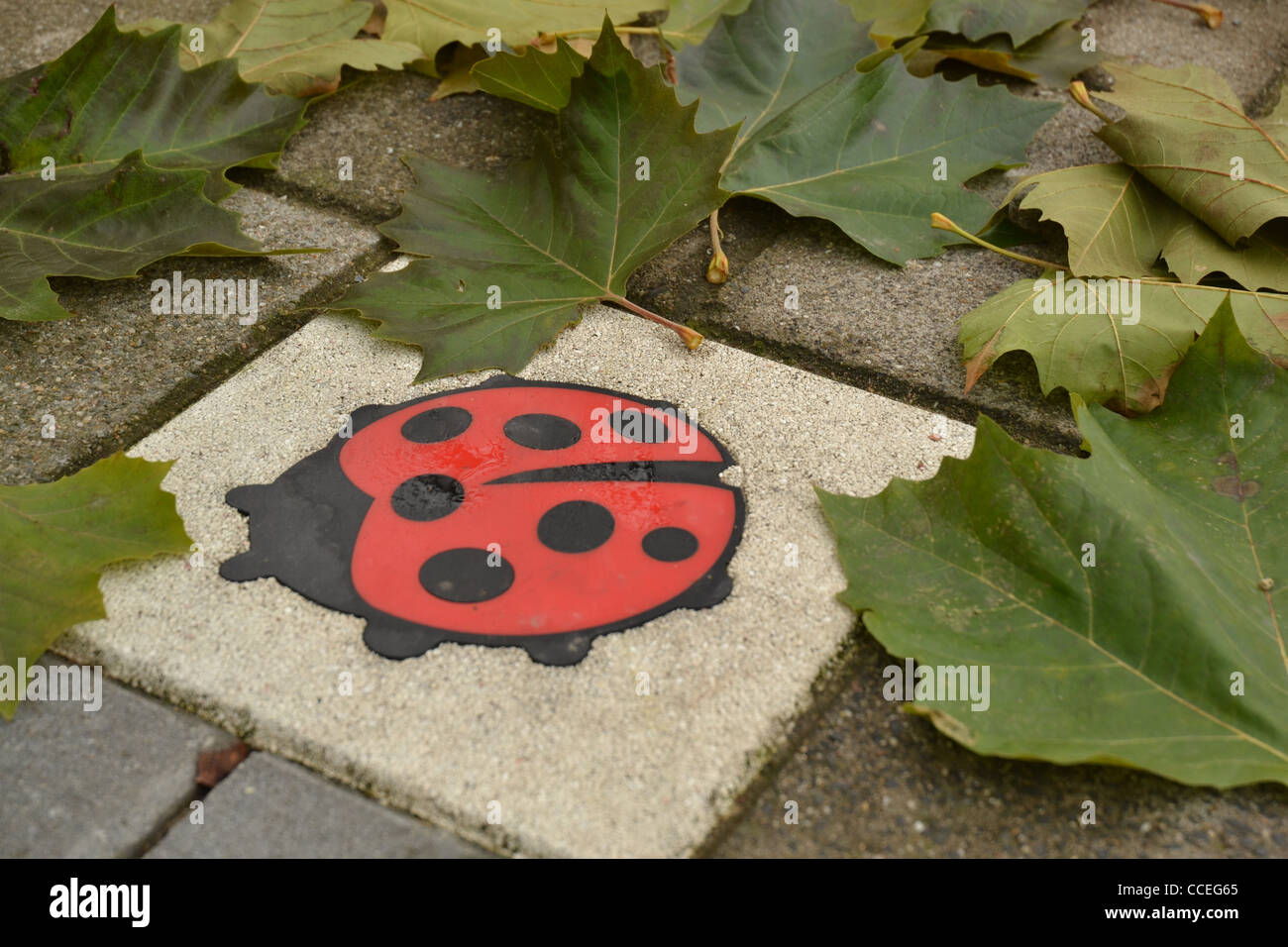Sidewalk tile with picture of ladybug, surrounded by large leaves on an ...