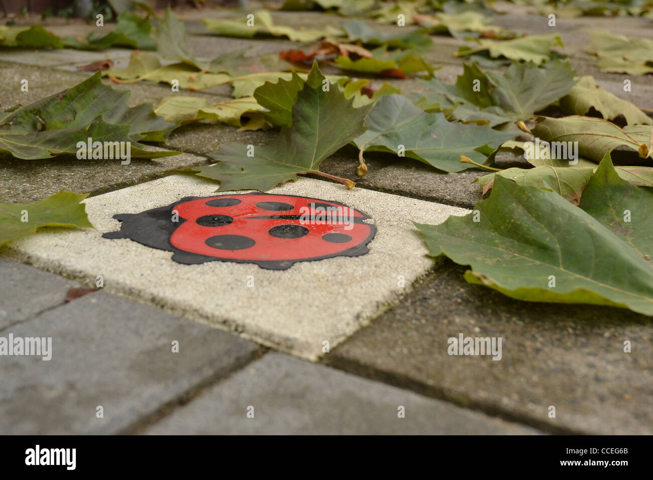 Sidewalk tile with picture of ladybug, surrounded by large leaves on an ...