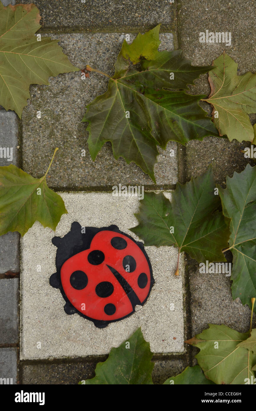 Sidewalk tile with picture of ladybug, surrounded by large leaves on an ...