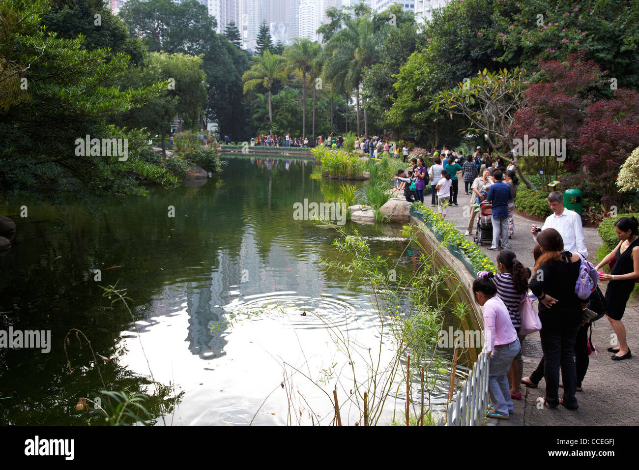 artificial lake in hong kong park central hksar china asia Stock Photo ...