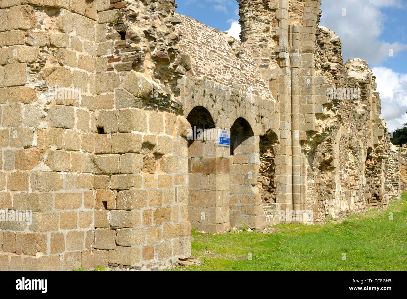 Ruins of the Abbey of Savigny, XIIth (Savigny le Vieux, Normandy ...