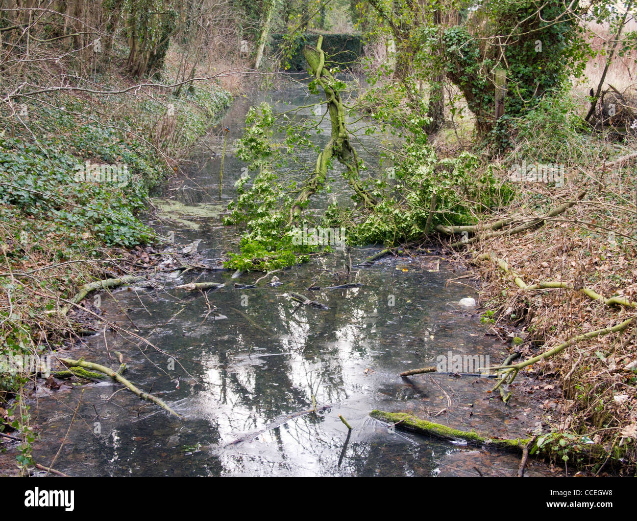 A poorly-maintained drainage ditch that is blocked by old and new ...