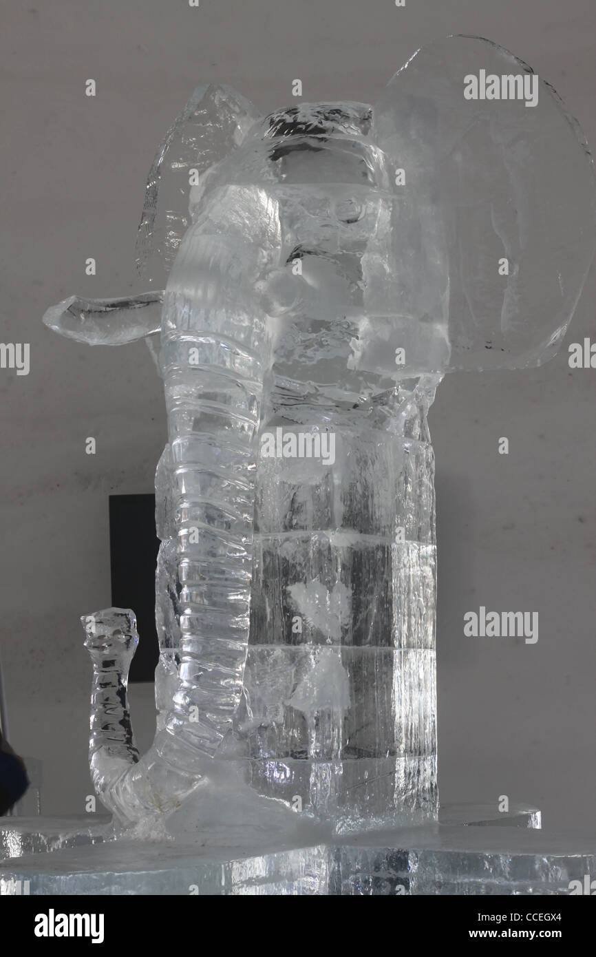 Elephant Crystal High Resolution Stock Photography and Images - Alamy