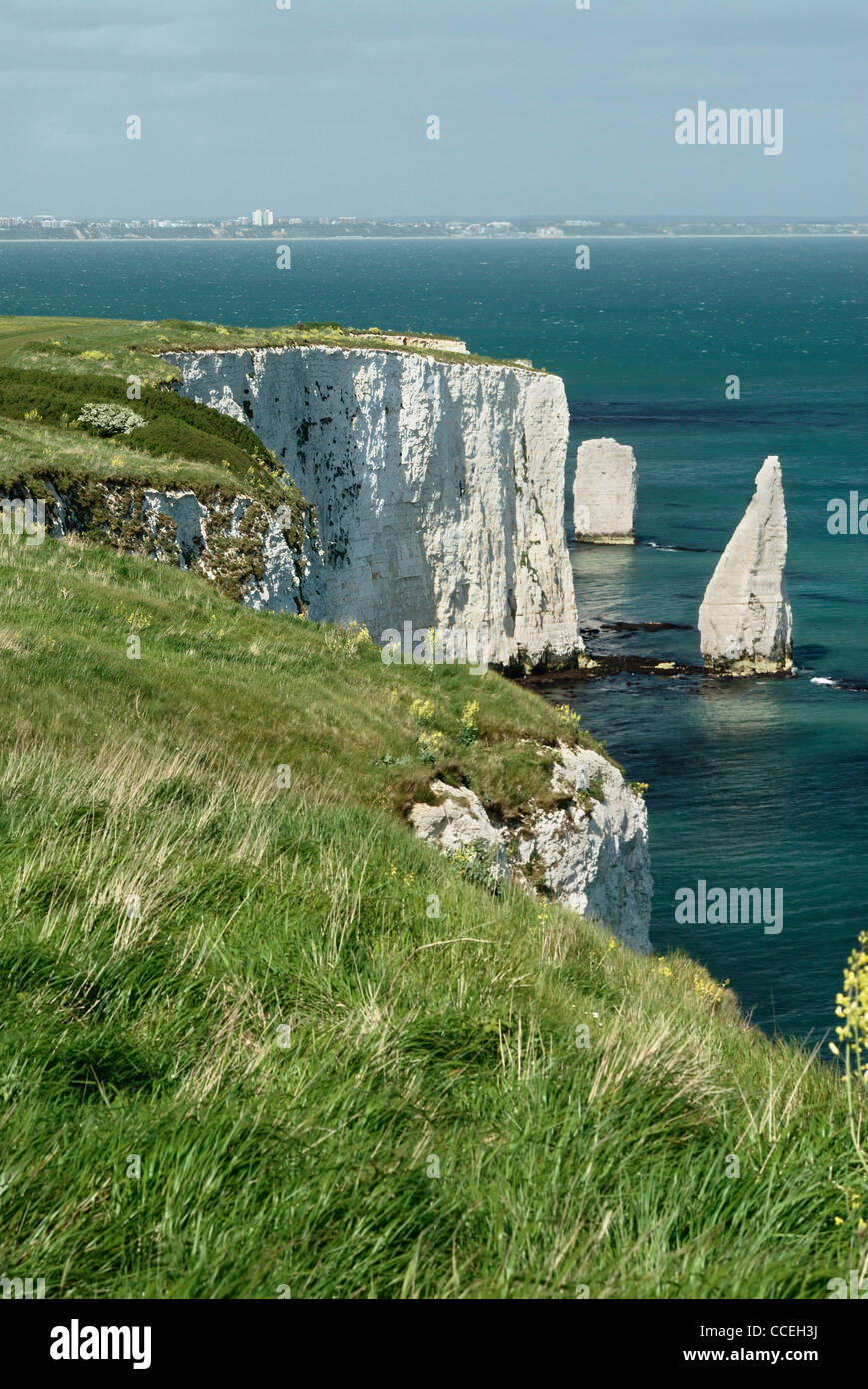 Old Harry Rocks, Dorset,England,UK Stock Photo - Alamy
