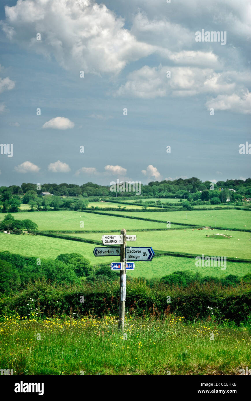 Signpost in rural countryside, Devon, England, UK Stock Photo - Alamy