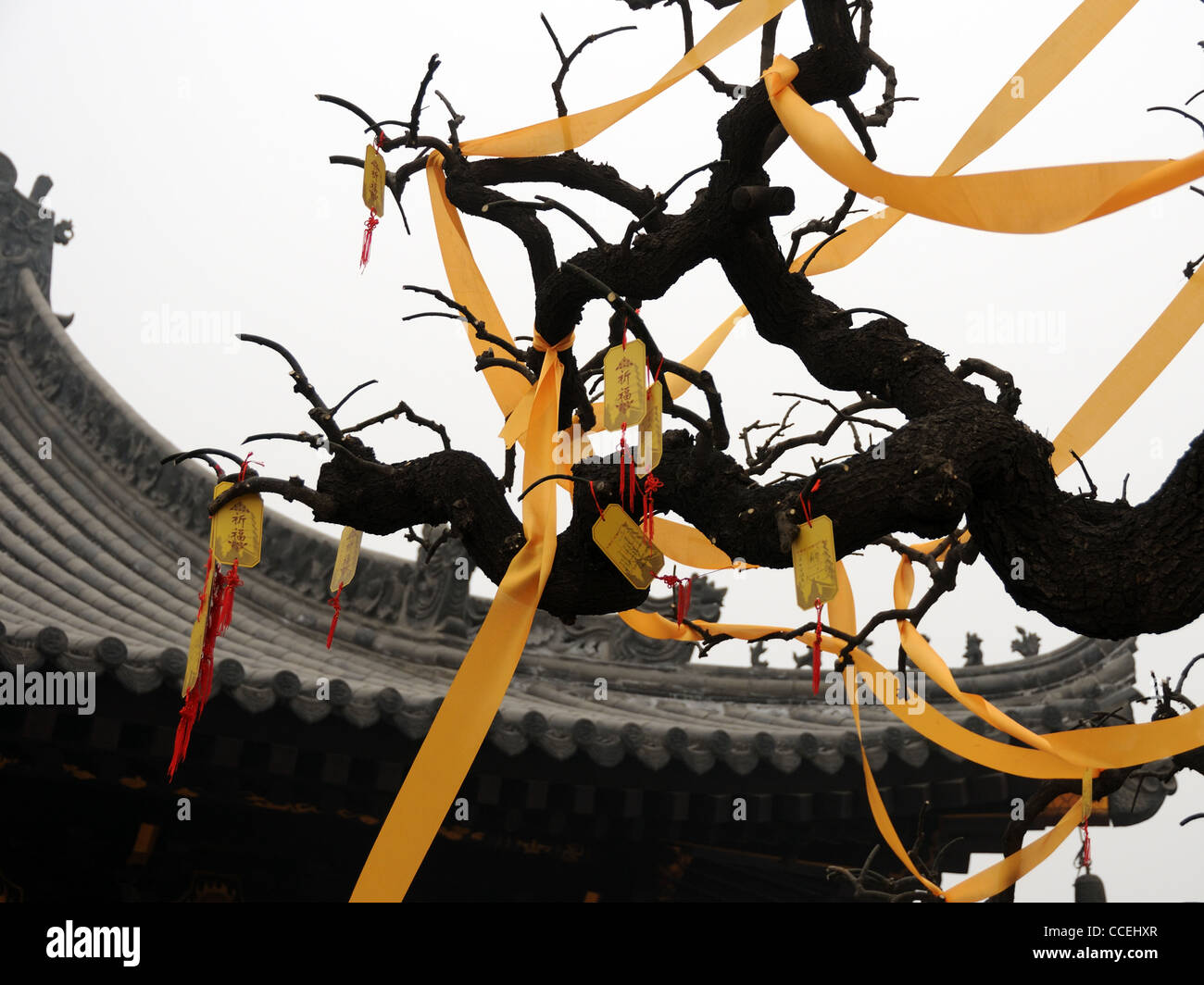 Yellow ribbons tied hi-res stock photography and images - Alamy