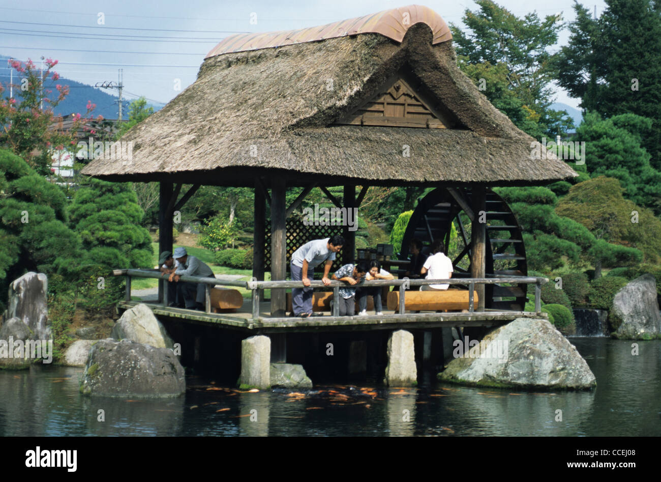 Visitors feed fish, Open Air Museum, Oshino Hakkai, Japan Stock Photo ...