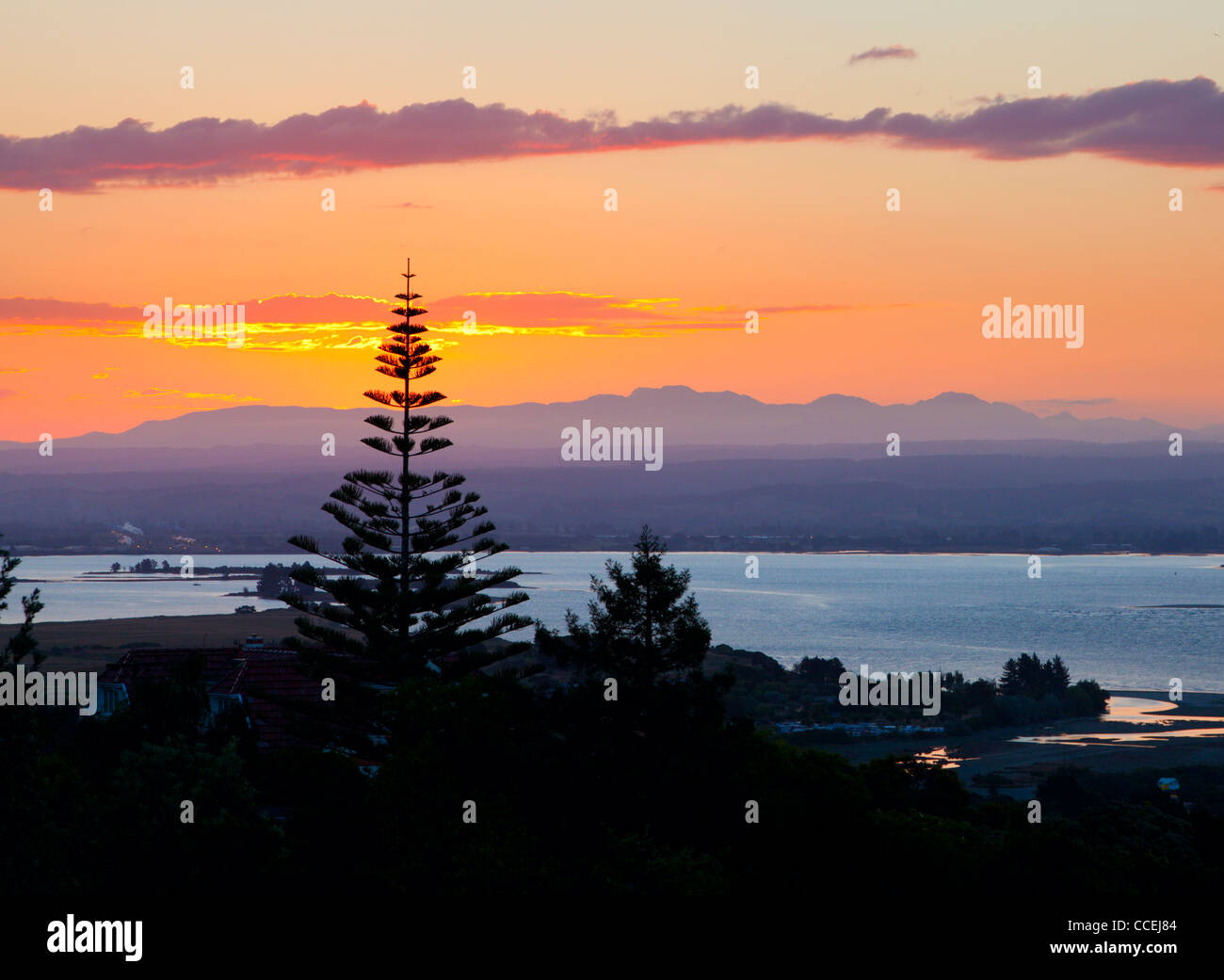 Nelson city new zealand hi-res stock photography and images - Alamy