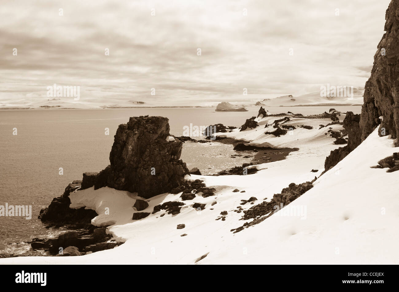 Half Moon Island, South Shetland Islands, Antarctic Peninsula Stock ...