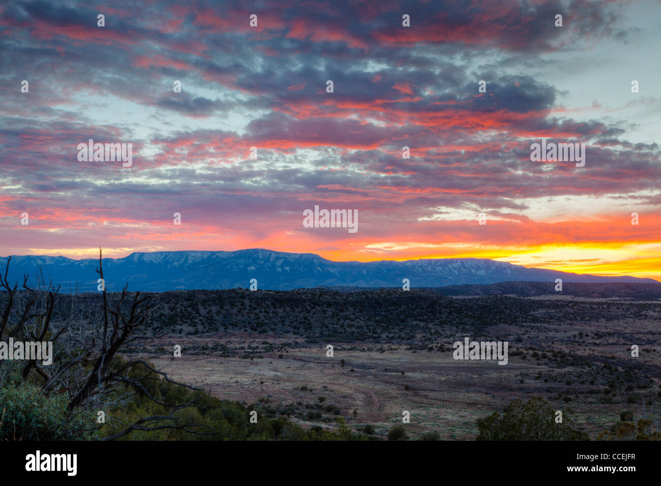 Arizona desert sunset hi-res stock photography and images - Alamy