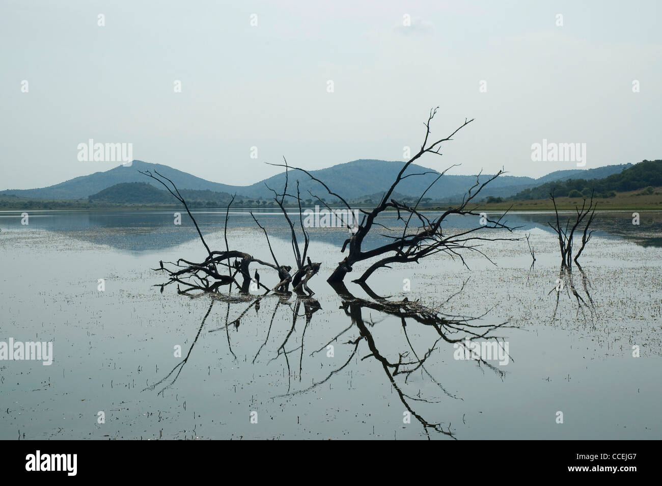 Mankwe Dam in the Pilansberg Game Reserve, North West Province, South ...