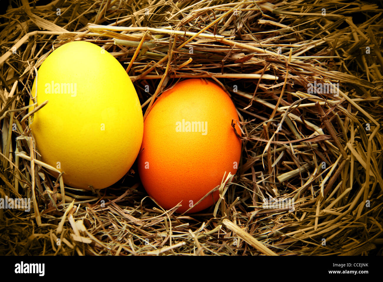 Nest with two easter eggs close up Stock Photo - Alamy