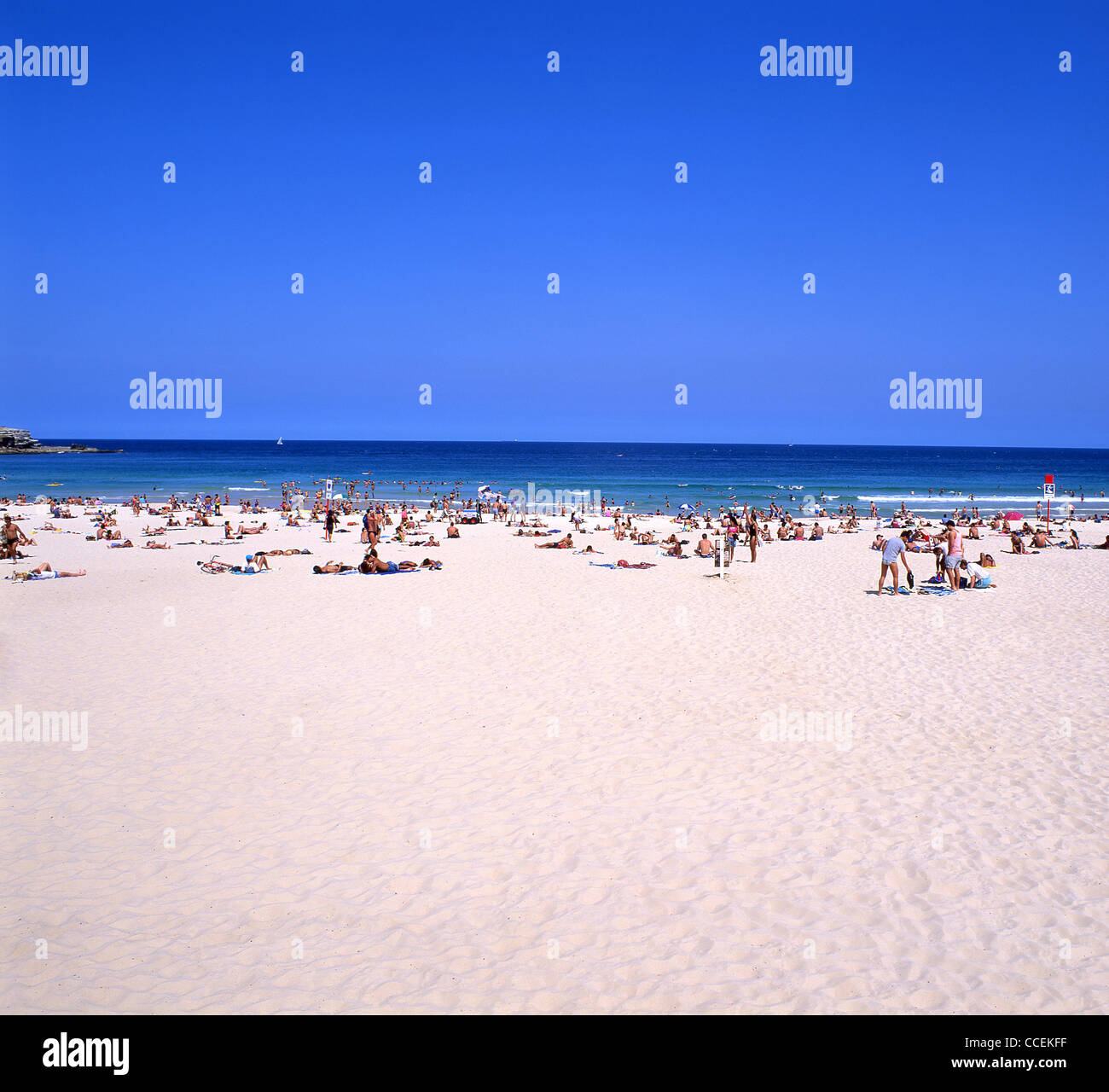 Bondi beach local attractions hi-res stock photography and images - Alamy