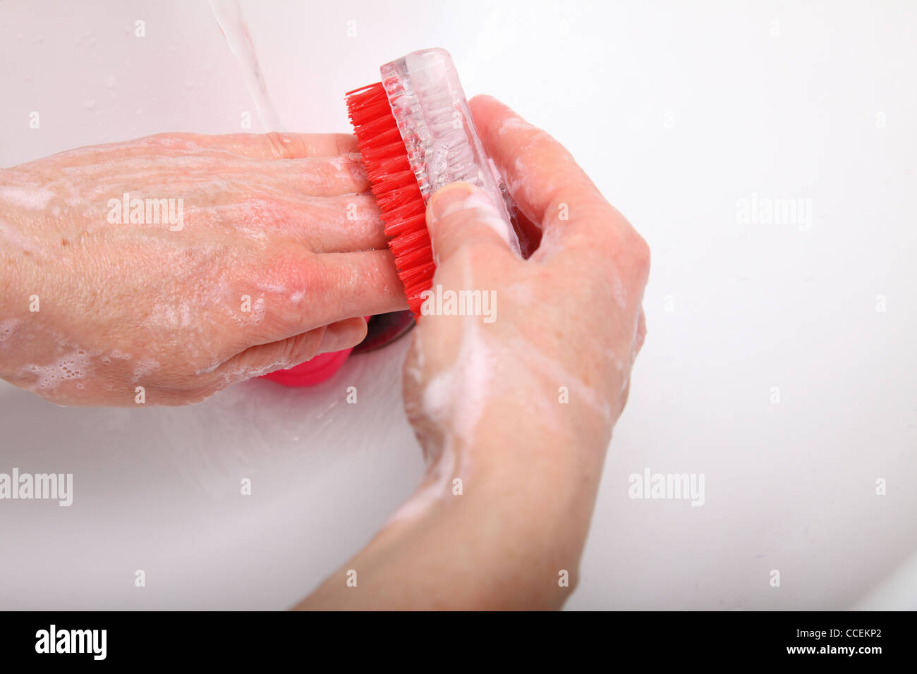 Woman wash red soapy hands in bathroom soap nail brush person scrubbing ...