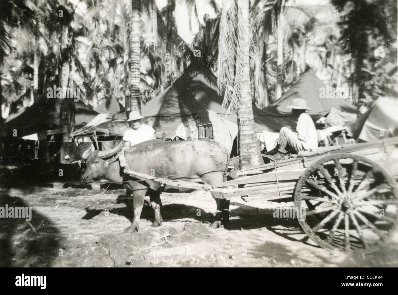 American Navy camp Leyte Philippines during World War II Stock Photo ...