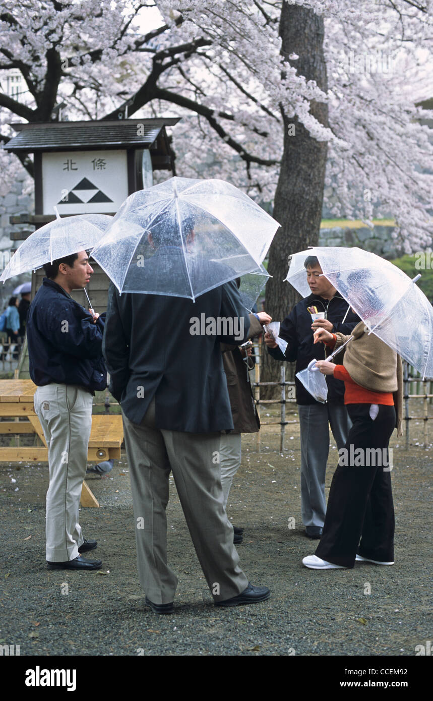 Picnic in the rain, Odawara Castle grounds, Japan Stock Photo - Alamy