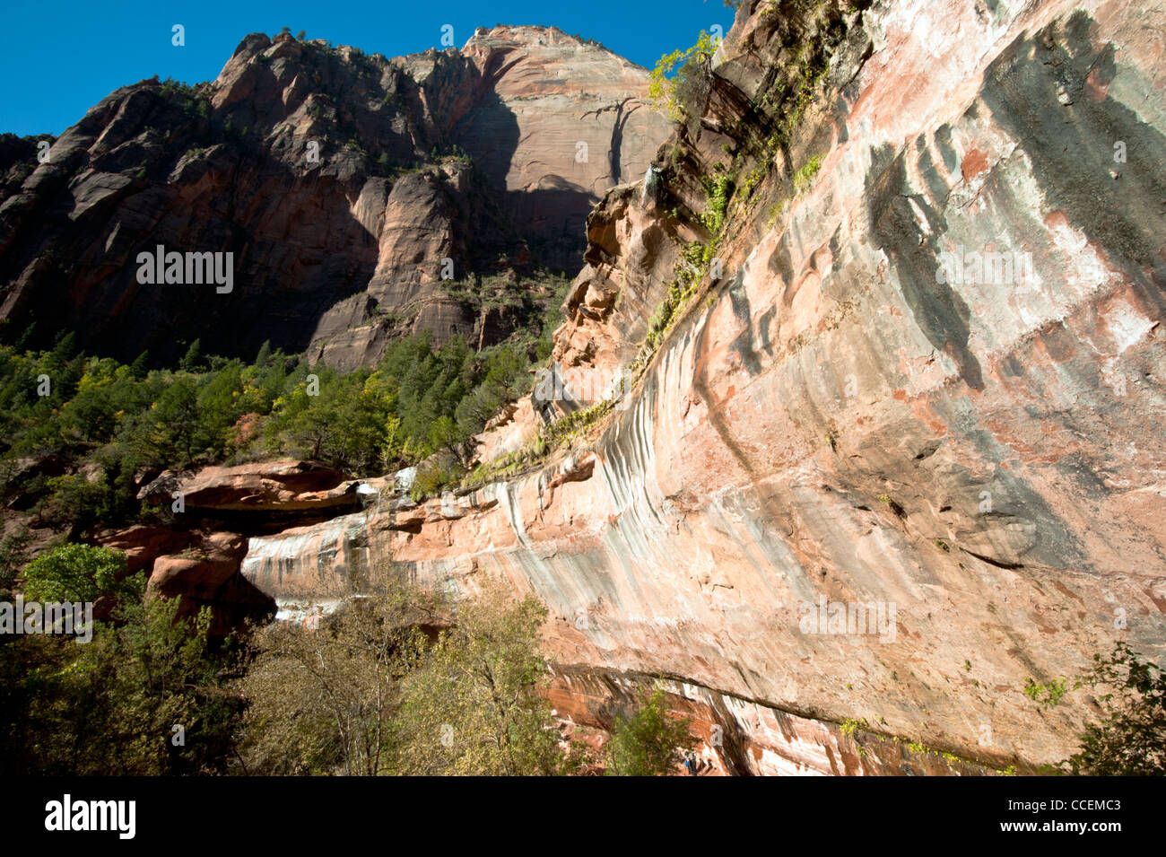 Eroded cliffs at Zion National Park, Utah Stock Photo - Alamy