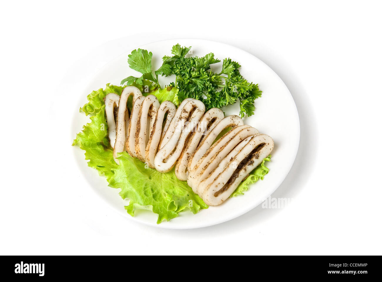 Cuddlefish Cut Out Stock Images & Pictures - Alamy