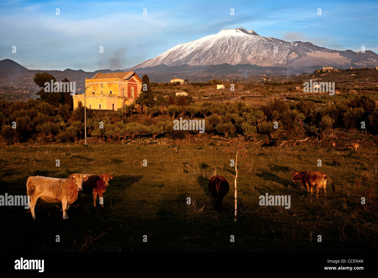Sicilian landscape, Etna volcano, Catania, Sicily, Italy, Europe Stock ...