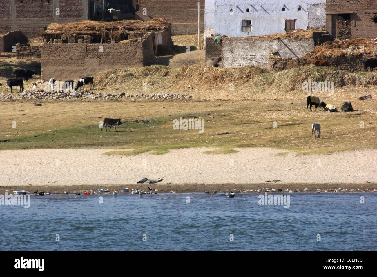 rural waterside scenery at River Nile in Egypt (Africa) including some ...