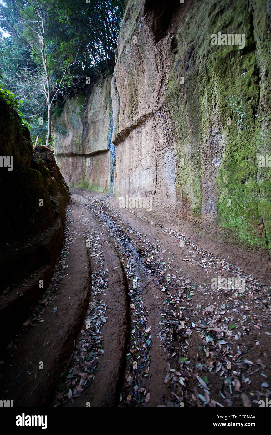 Via Etrusca path, Tuscany, Italy, Europe Stock Photo - Alamy
