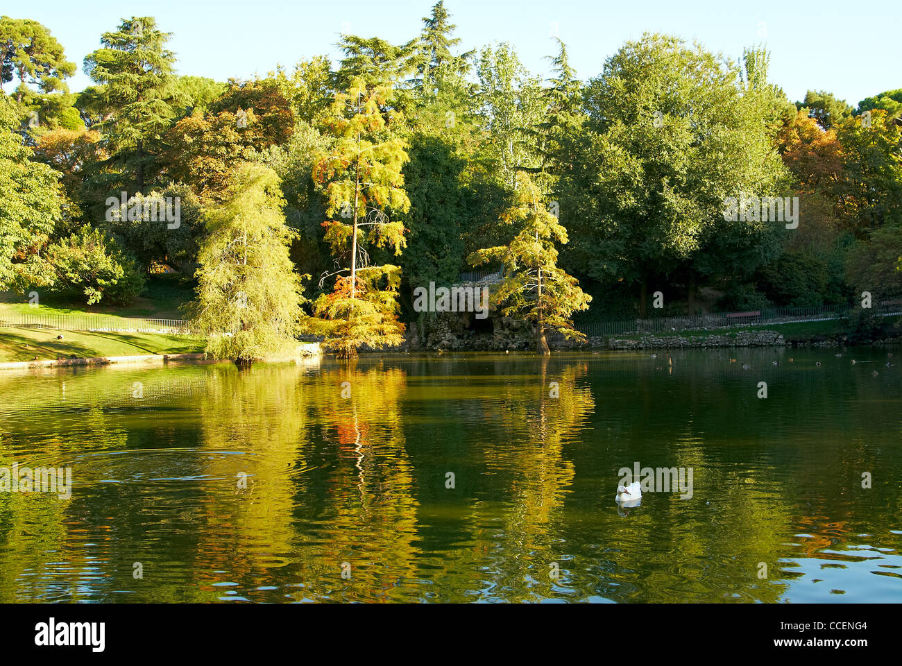solar ray x-rays through the autumnal to foliage of the tree Stock ...