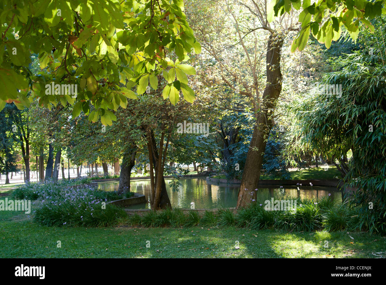 X rays texture hi-res stock photography and images - Alamy