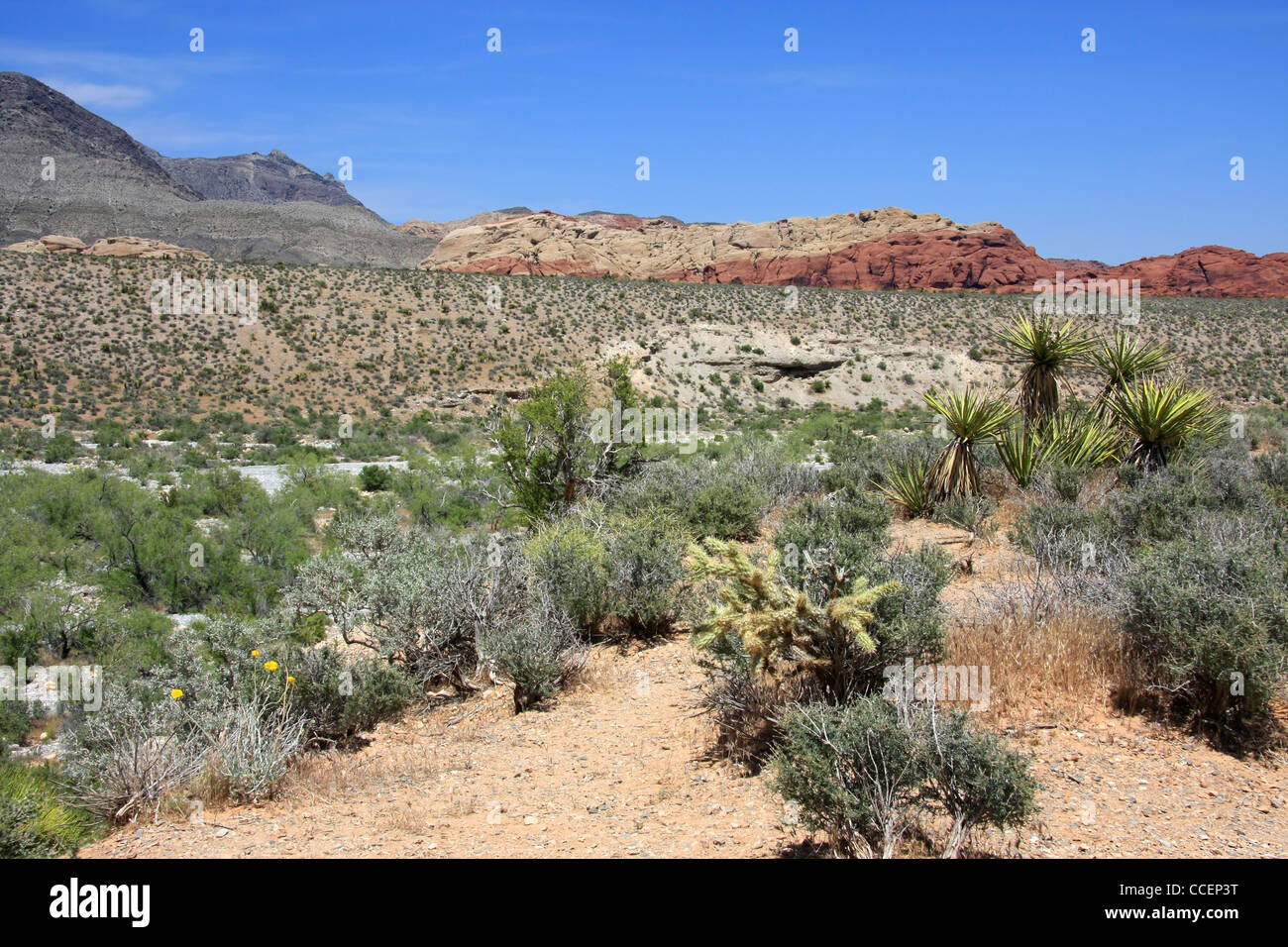 Red rock canyon landscape hi-res stock photography and images - Alamy