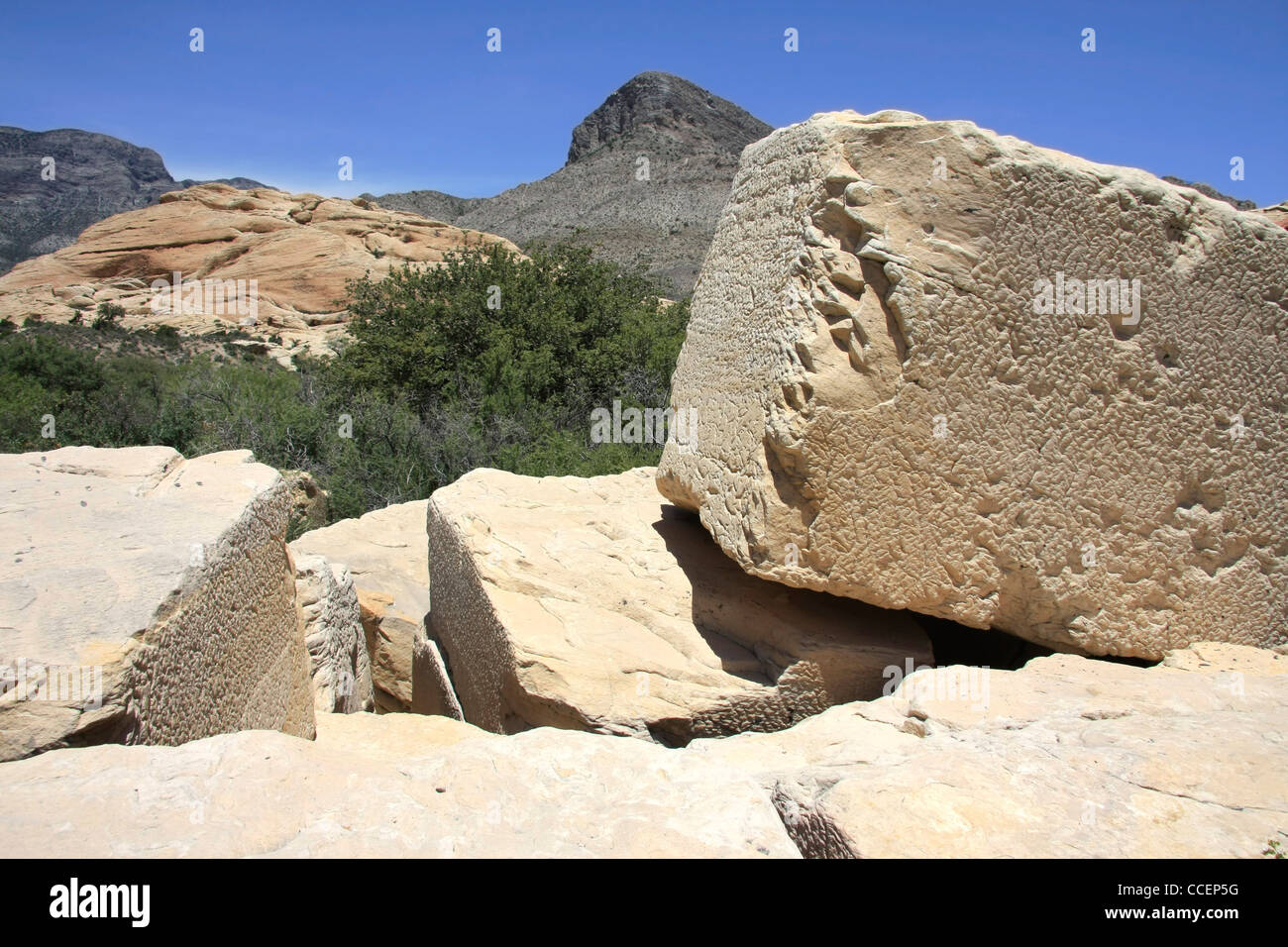 Quarry adventure park hi-res stock photography and images - Alamy