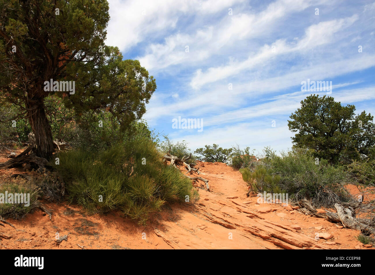 Path through valley sun hi-res stock photography and images - Alamy