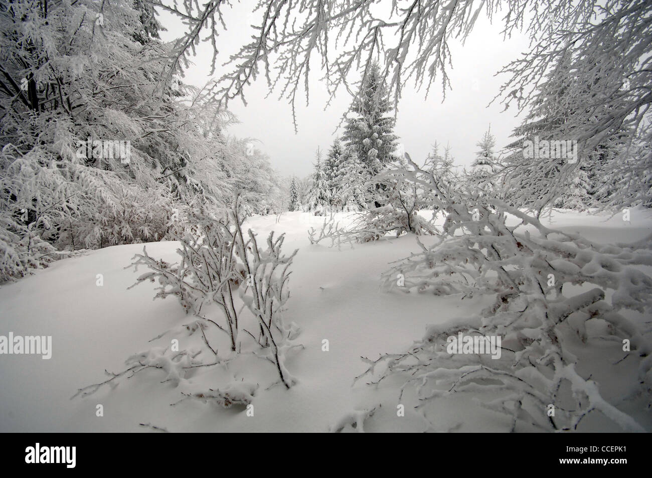 Beskydy, snow, frost, winter, tourists, Czech Republic. (CTK Photo ...