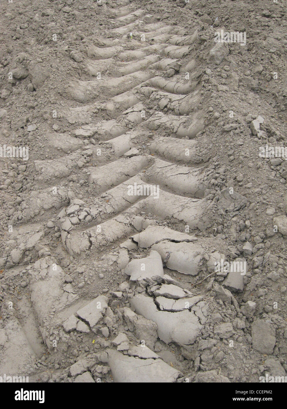 Track in field Stock Photo - Alamy