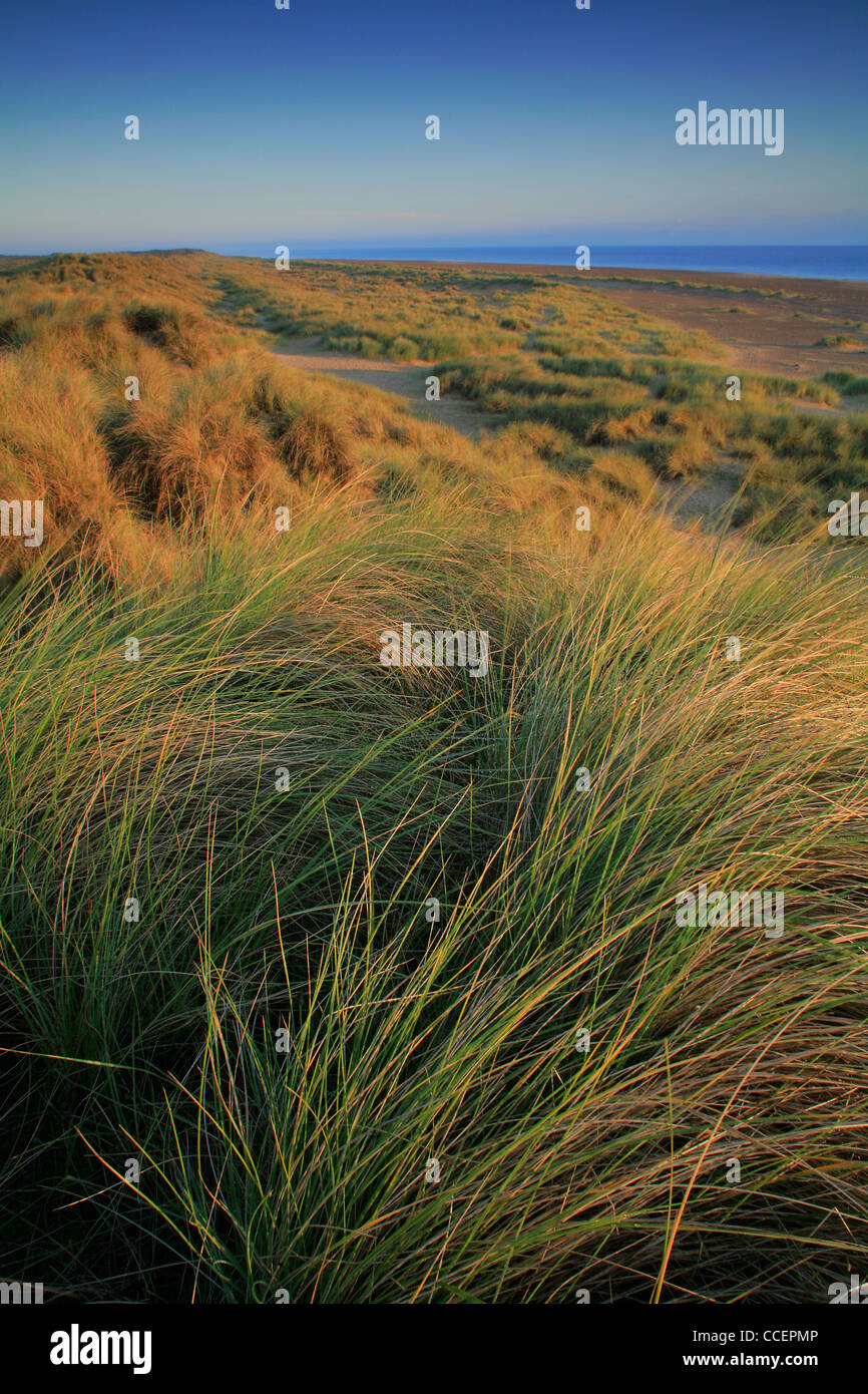 Winterton dunes hi-res stock photography and images - Alamy