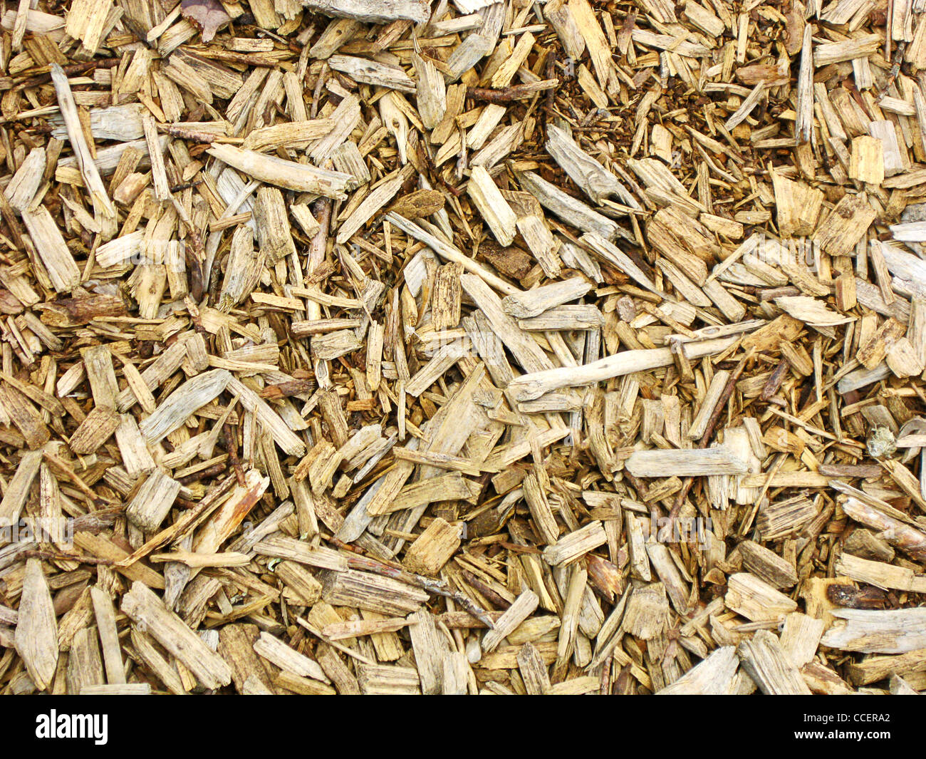 Top view shot of golden light mulch Stock Photo - Alamy