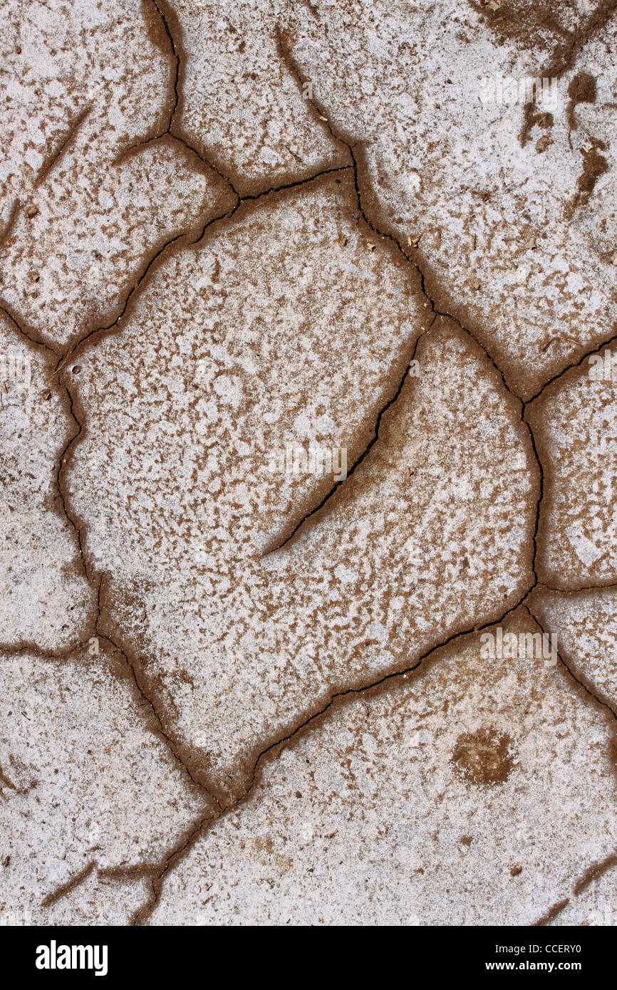 Salty ground hi-res stock photography and images - Alamy