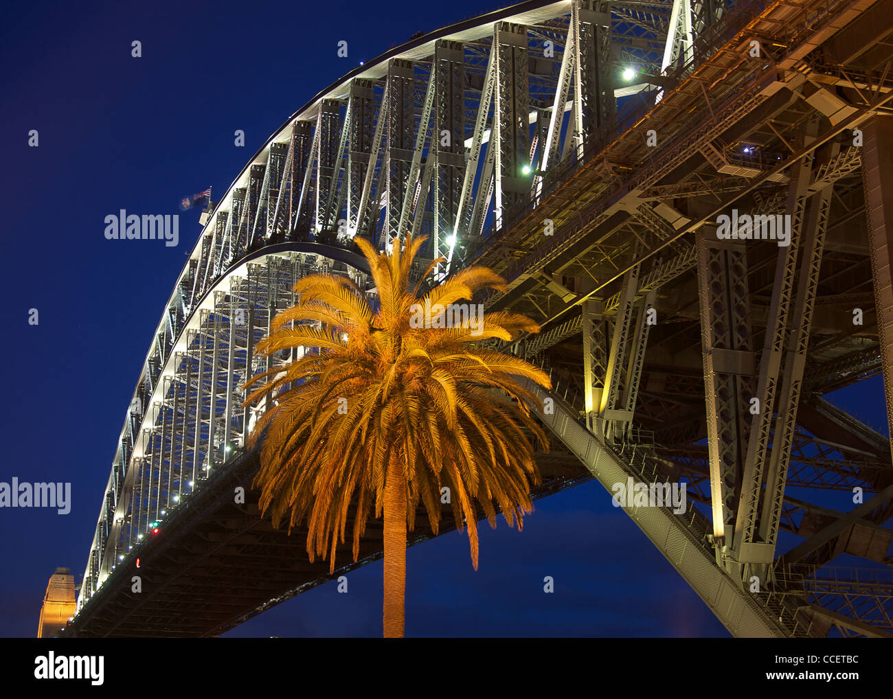 Sydney Habour Bridge with palm tree Stock Photo - Alamy