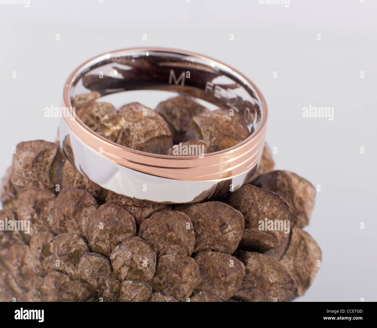 Metal pine cone hi-res stock photography and images - Alamy