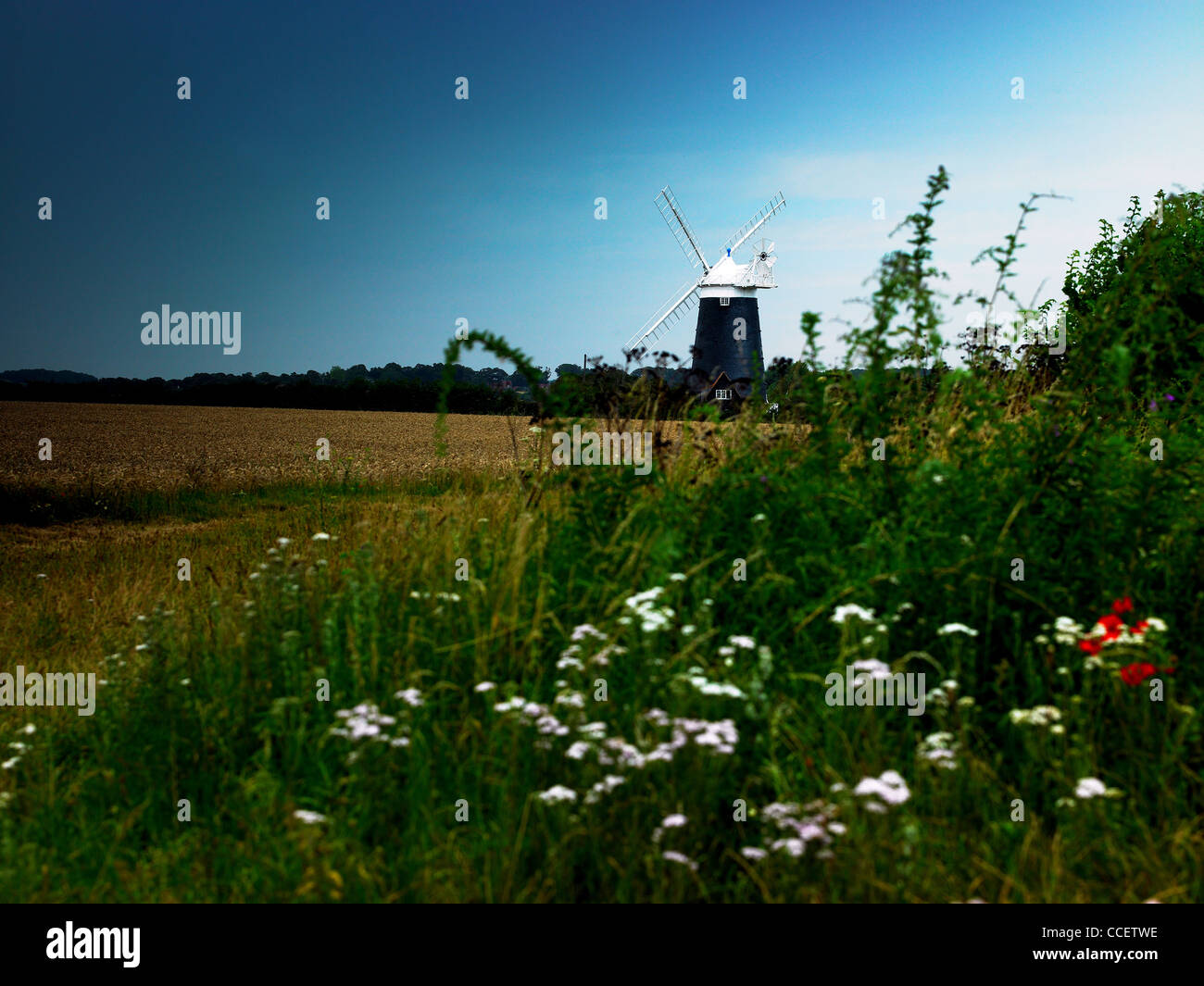 A windmill in the countryside in Norfolk Stock Photo - Alamy