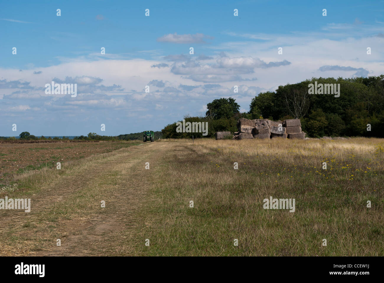Large hay mound hi-res stock photography and images - Alamy