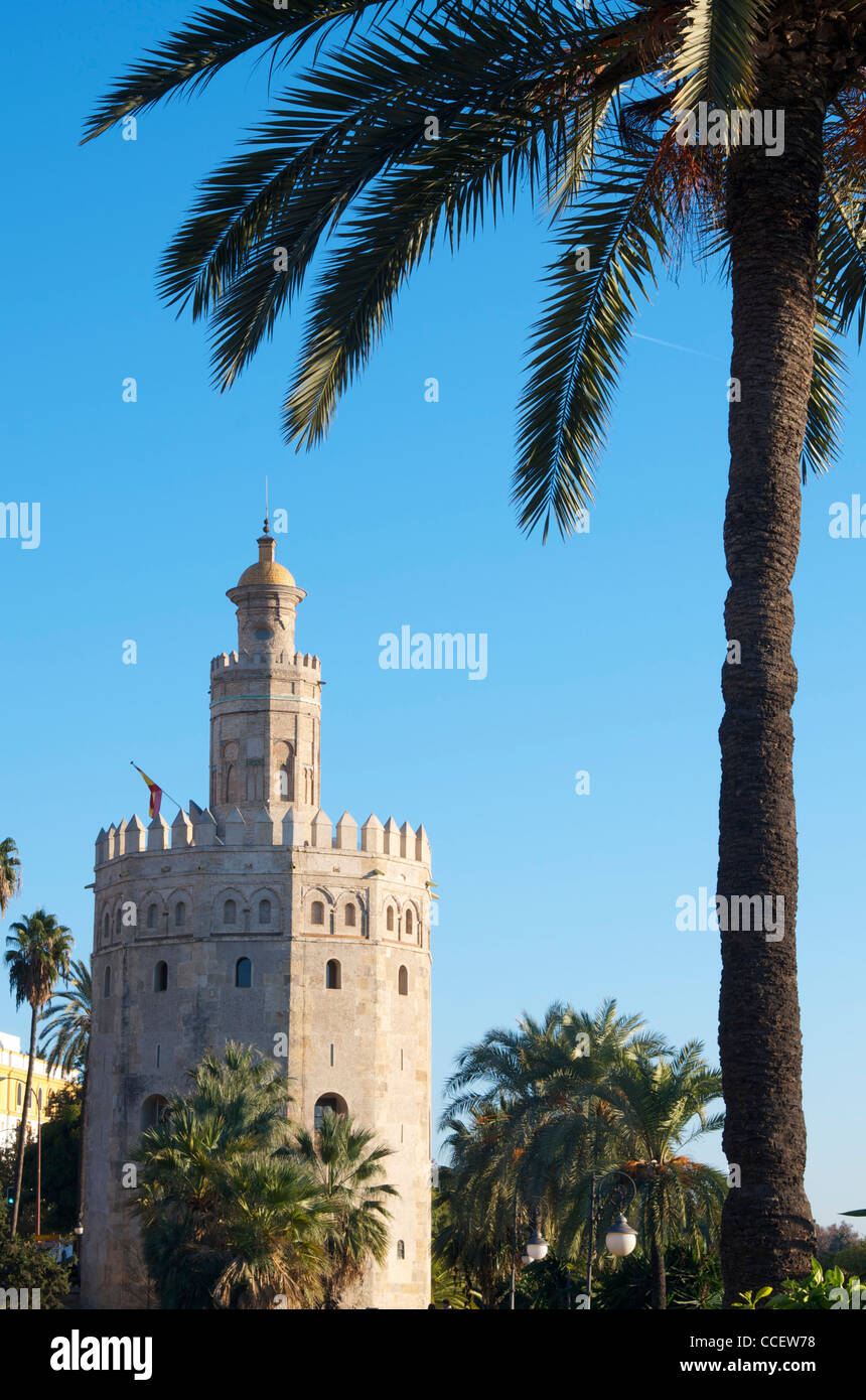 view of the famous Gold Tower, Seville, Andalucia, Spain Stock Photo ...
