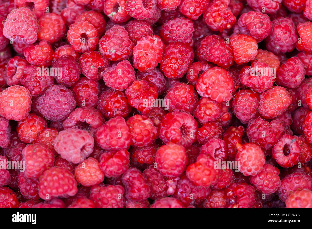 Sweet fresh raspberries closeup Stock Photo - Alamy
