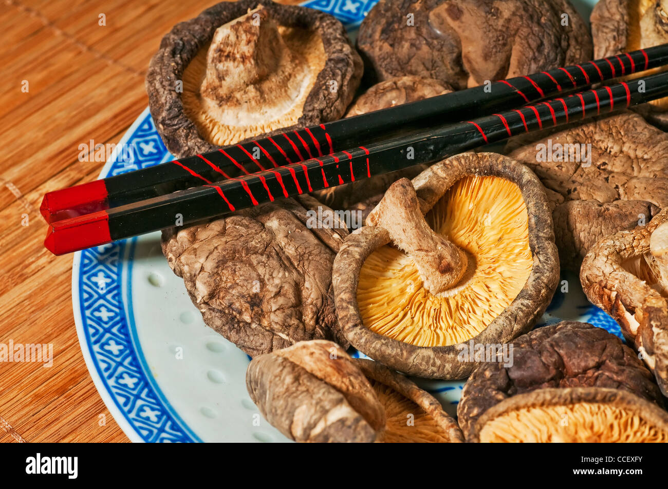 shiitake , Chinese mushroom Stock Photo - Alamy