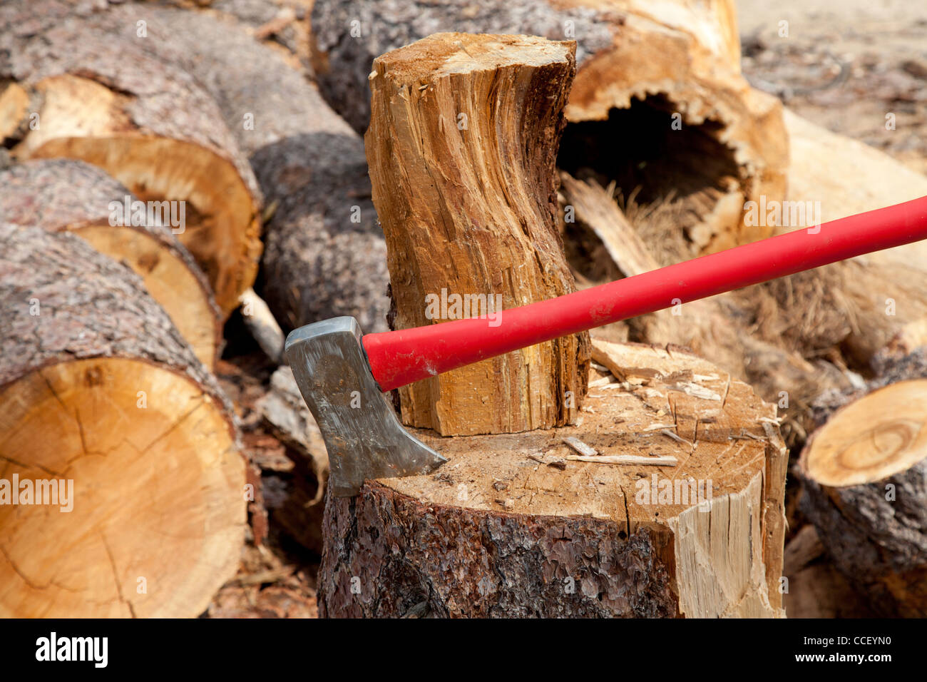 An axe wedged into a tree stump Stock Photo - Alamy