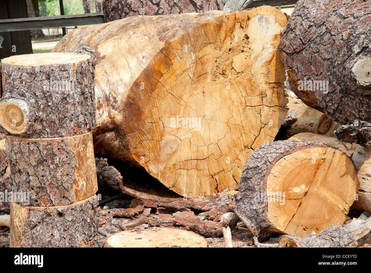 Chopped wooden logs Stock Photo - Alamy