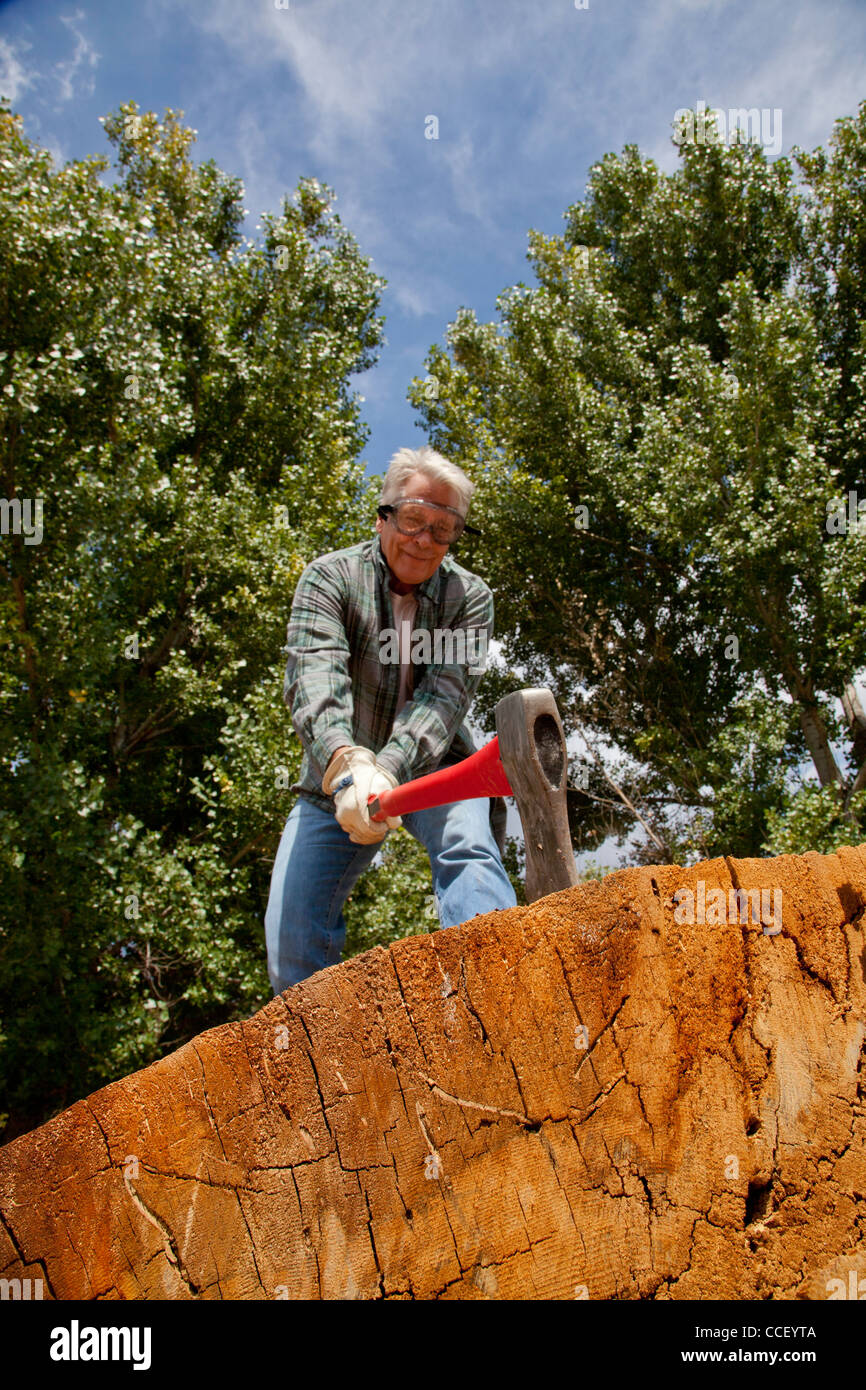 Men chopping wood hi-res stock photography and images - Alamy