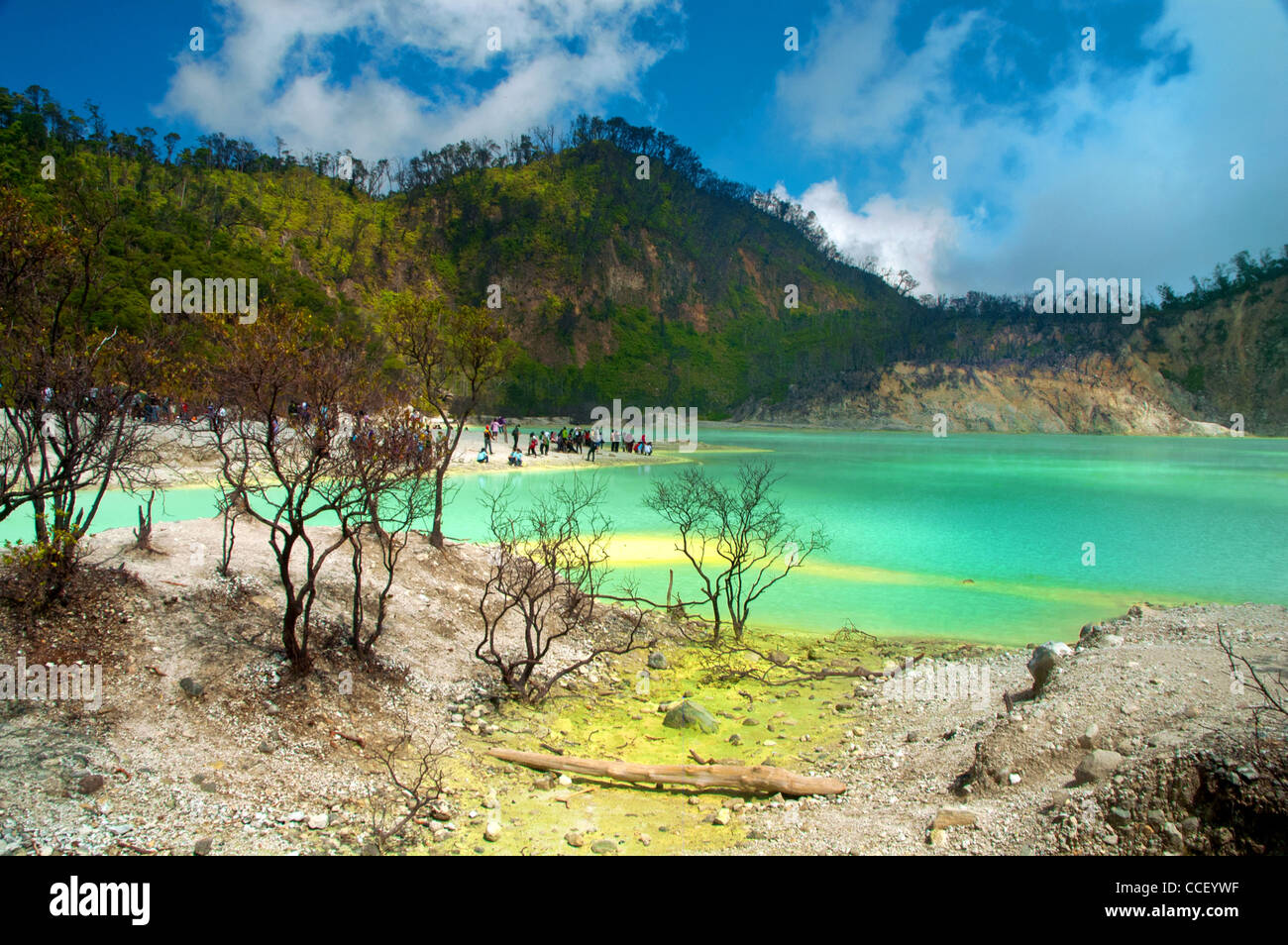 White Crater at Mount Patuha Stock Photo - Alamy