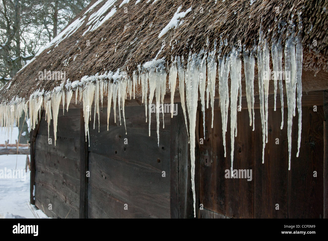 Icicles hang from the thatched roof of one of the exhibits in the ...